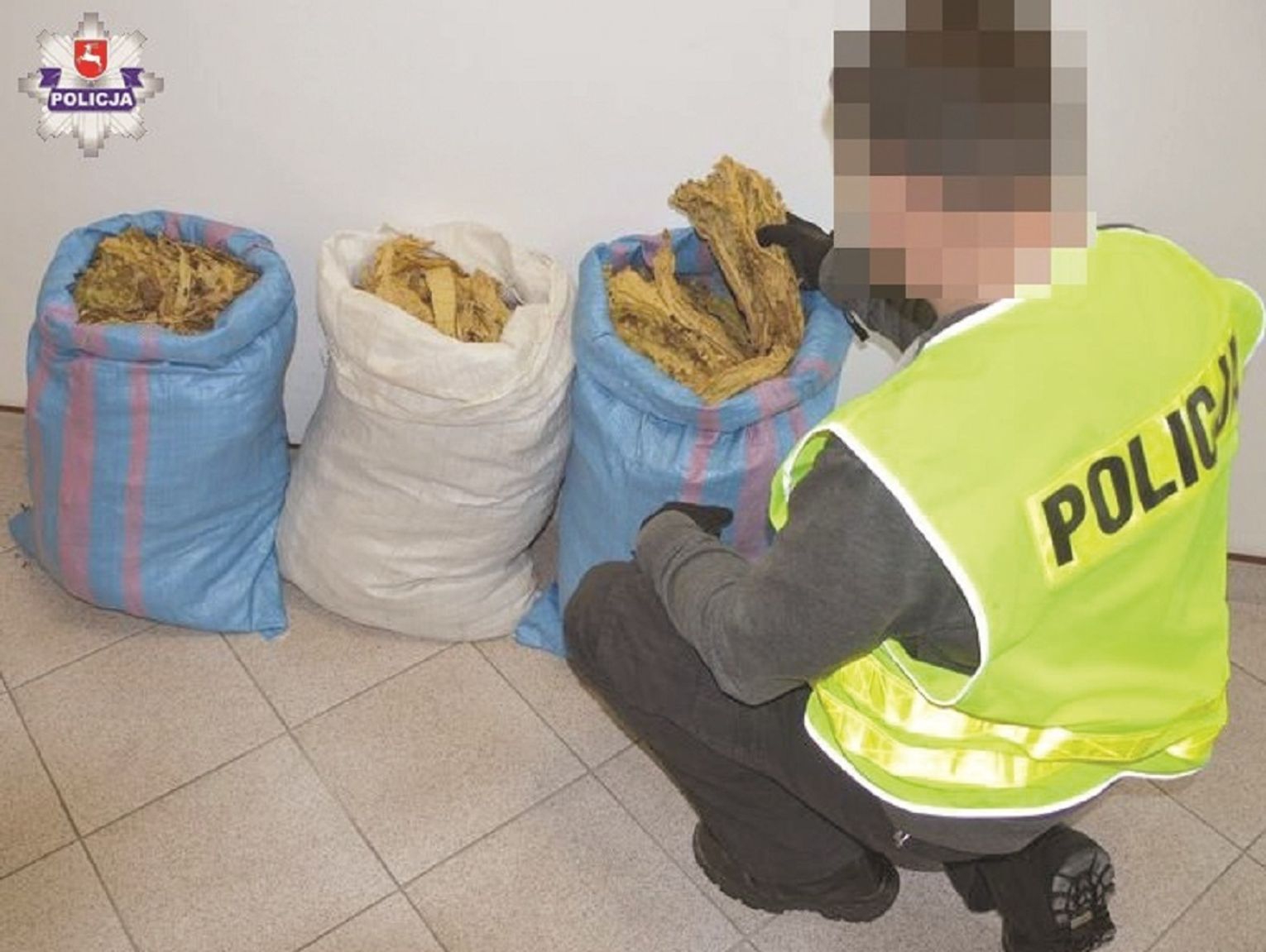 Gm. Izbica: Trefny tytoń na poddaszu Gm. Izbica: Trefny tytoń na poddaszu