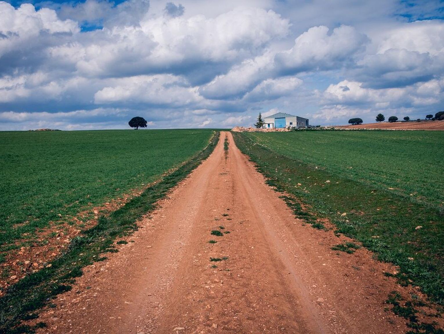 Region. Rolnicy się ucieszą. W planach włodarzy kolejne kilometry dróg ...